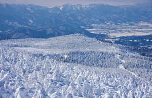 Sendai: Ginzan Onsen, Zao Ropeway Snow Monsters Tour & Lunch | GetYourGuide