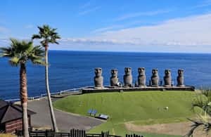 Miyazaki: Guided Tour with Brompton Bike and Lunch | GetYourGuide