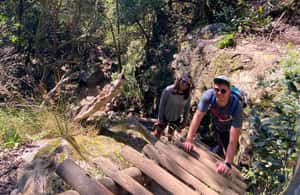 Cape Town: Skeleton Gorge Hike to Table Mountain Summit | GetYourGuide