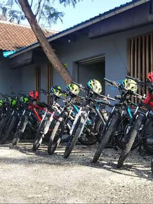Ubud: tour in e-bike del tempio di Tirta Empul con pranzo | GetYourGuide