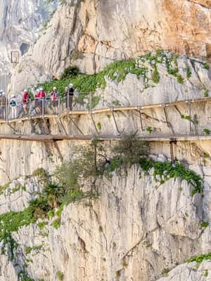 From Costa del Sol: Caminito del Rey Day Trip | GetYourGuide