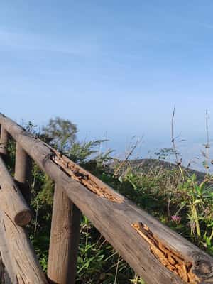 From Naples: Explore Herculaneum Ruins and Vesuvius | GetYourGuide