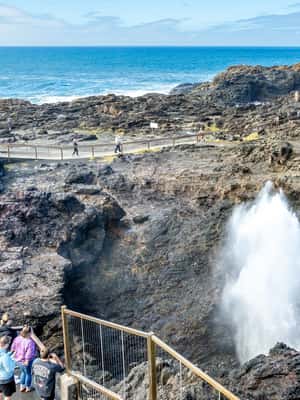 Sídney: puente de Sea Cliff, respiradero de Kiama y tour por las ...