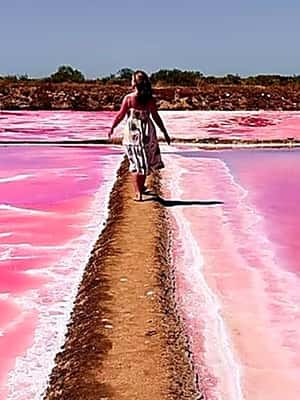 Tavira: 4x4 Jeep-eventyr, saltbassiner og skjult natur | GetYourGuide