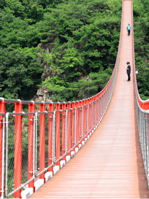 Seoul: DMZ The 3rd Tunnel and Suspension Bridge Tour | GetYourGuide