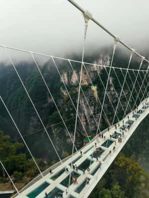 Dagtocht Avatar Mountain en Grand Canyon & Glass Bridge | GetYourGuide