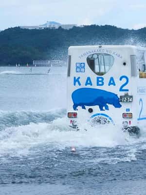 Tokyo: Mount Fuji Views and KABA Amphibious Bus Day Tour | GetYourGuide