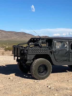 Las Vegas: 7 Magic Mountains and Pioneer Saloon Hummer Tour | GetYourGuide