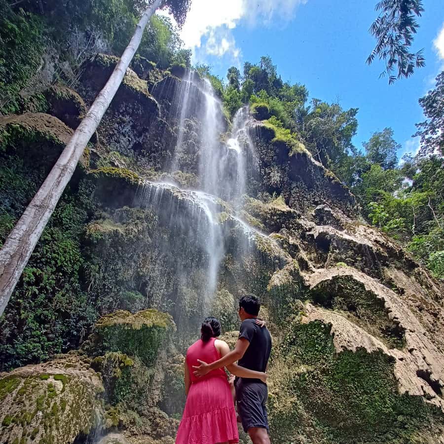 Cebu: WhaleShark , Tumalog Falls, & Sardine Run Snorkeling | GetYourGuide