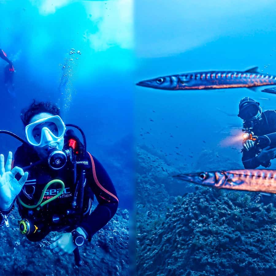 Mallorca: Scuba Diving - 2 dives from the boat (for certified divers ...