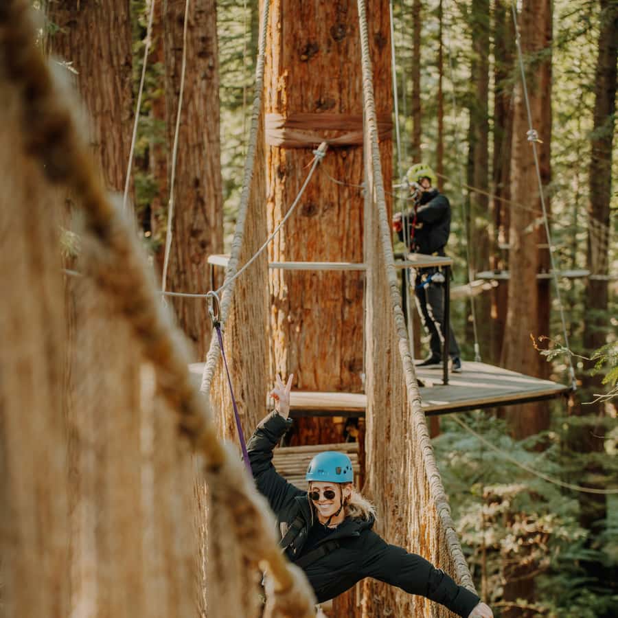 Rotorua: Redwoods Altitude High Ropes Adventure | GetYourGuide