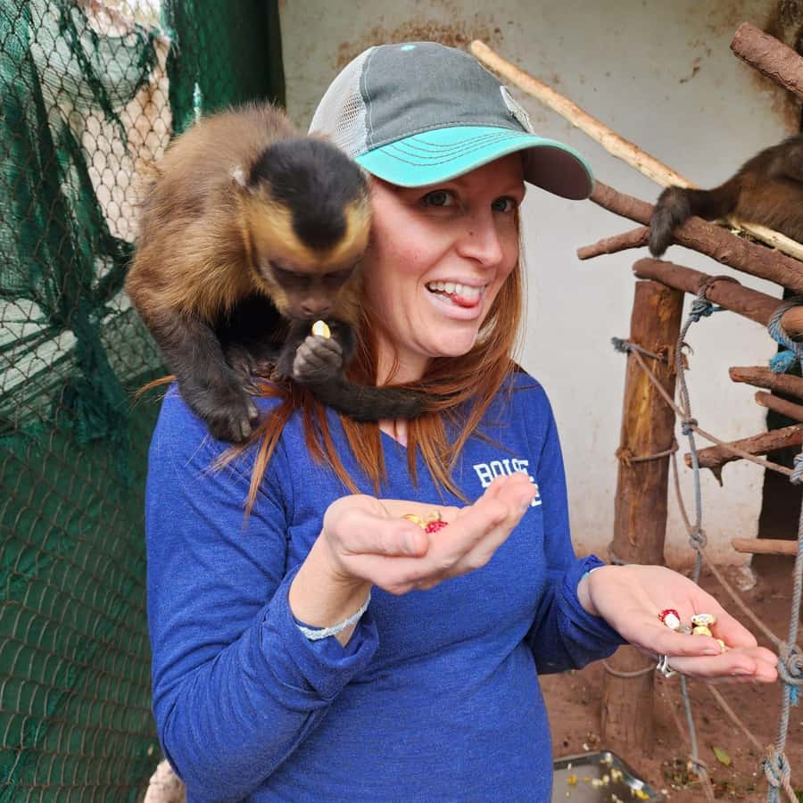 Cusco: Cochahuasi Animal Sanctuary Tour with Rescued Animals | GetYourGuide