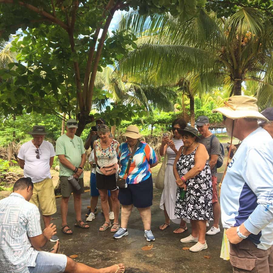 SummerWind Samoa - Kultur, Abenteuer, Gemeinschaft. | GetYourGuide