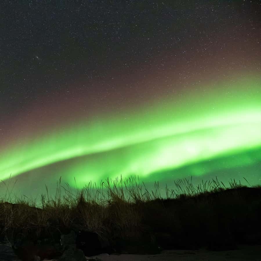 Tromsø: Northern Lights Chase with Photos and Guide | GetYourGuide
