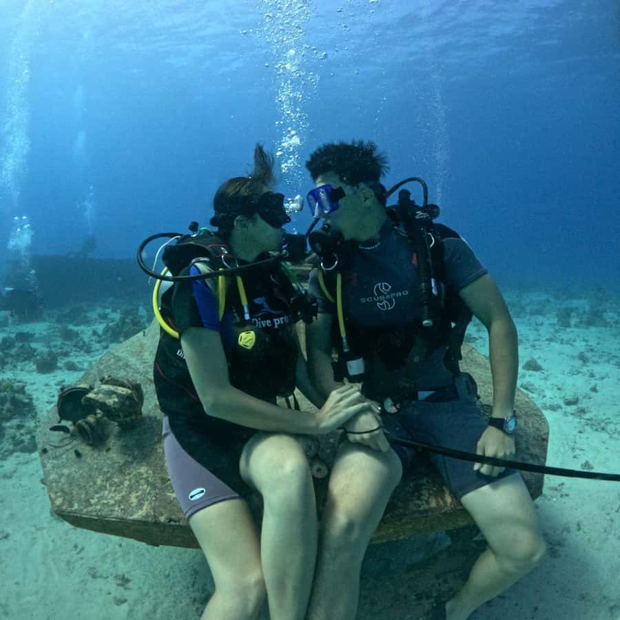 Museum Diving Experience in the Red Sea | GetYourGuide