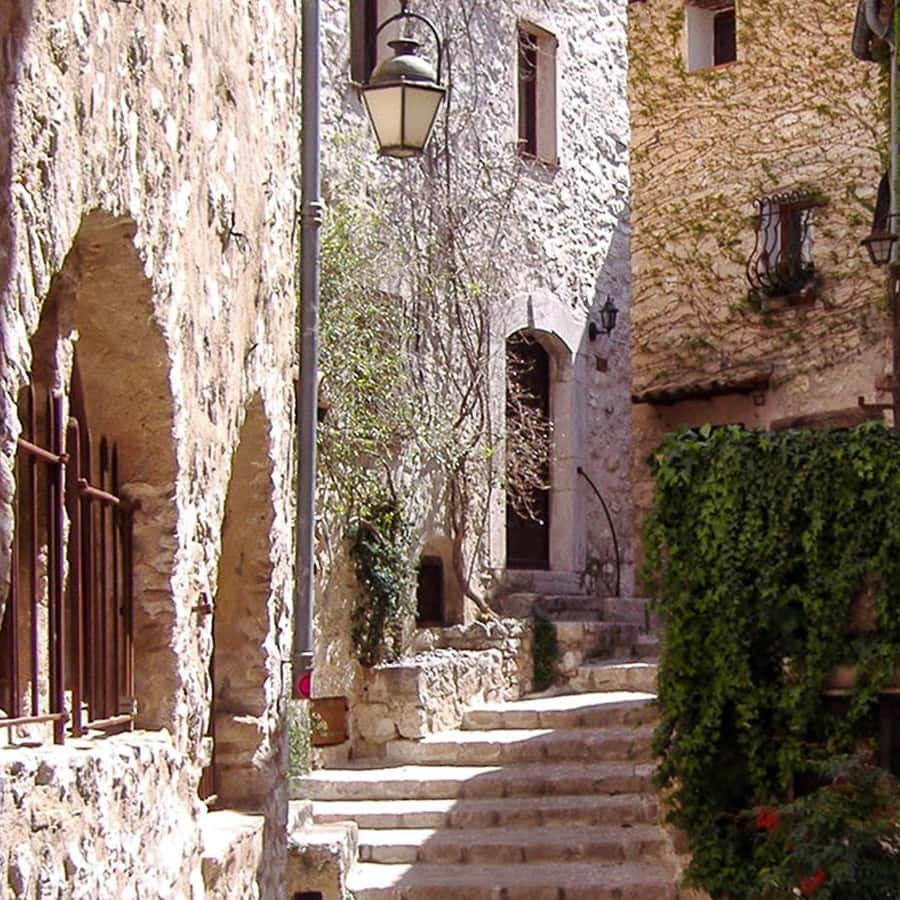 Nice: Countryside Tour with Grasse | GetYourGuide