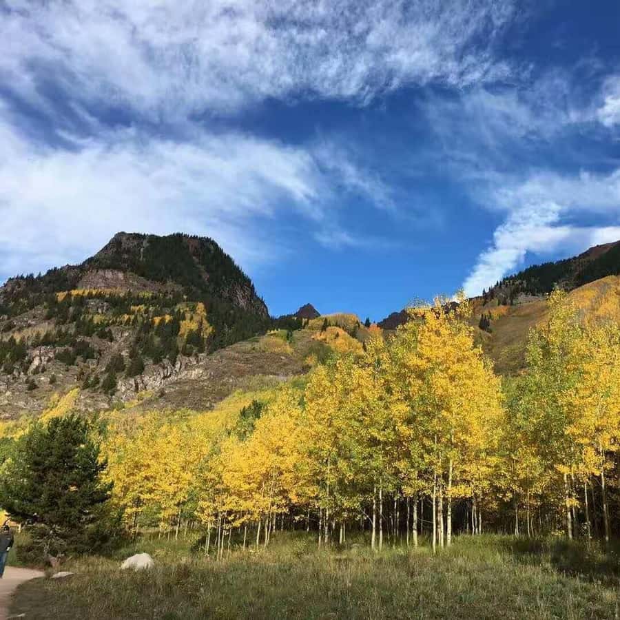 Olympic National Park Small Group Day Tour w/ State Ferries | GetYourGuide