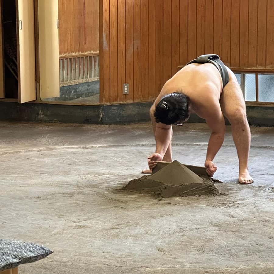 Tokyo: Visit Sumo Morning Practice with English Guide | GetYourGuide