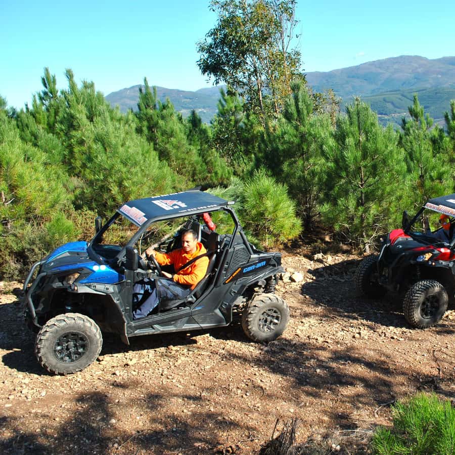 Buggy Family Experience - 60 bis 120 Minuten | GetYourGuide