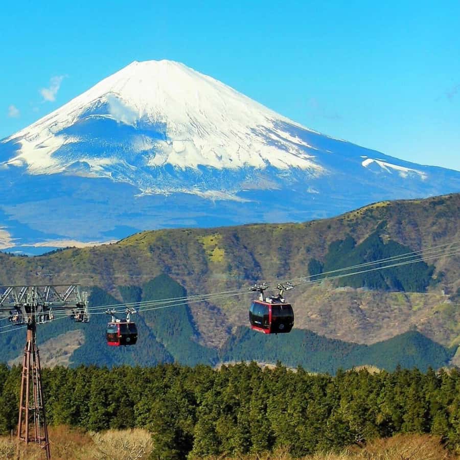 From Tokyo: Hakone Day Trip with Lake Ashinoko Boat Cruise | GetYourGuide
