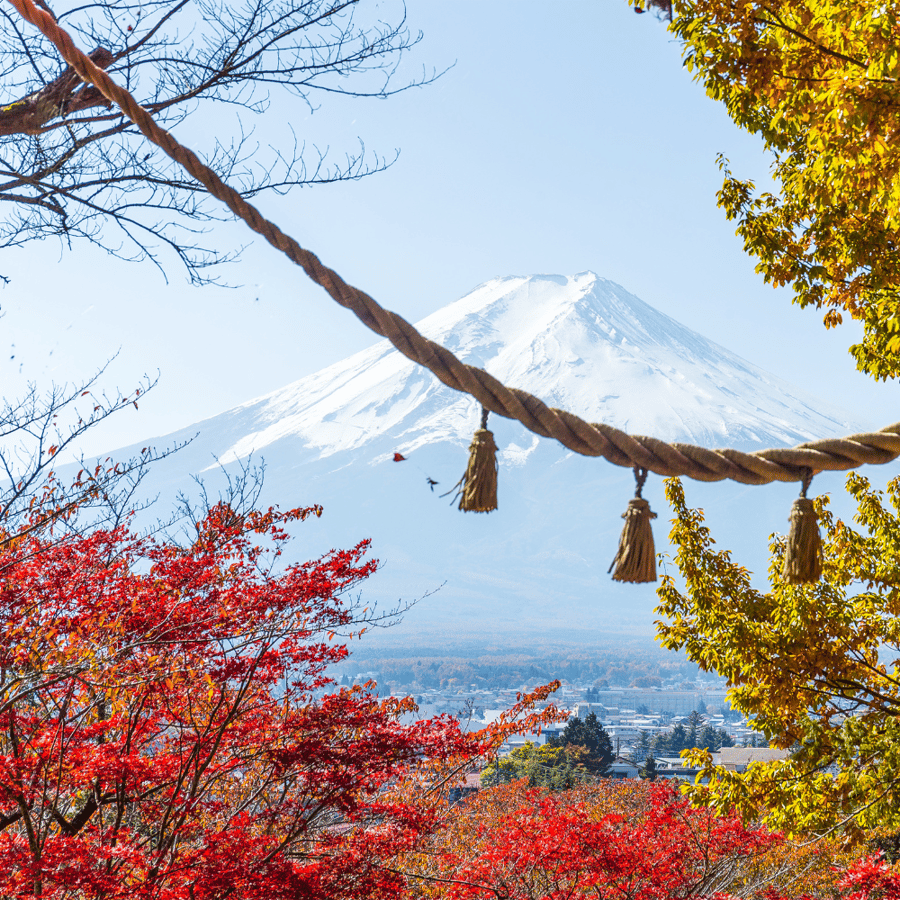 Da Tokyo: escursione privata di un giorno al Monte Fuji e ai Cinque Laghi del Fuji | GetYourGuide
