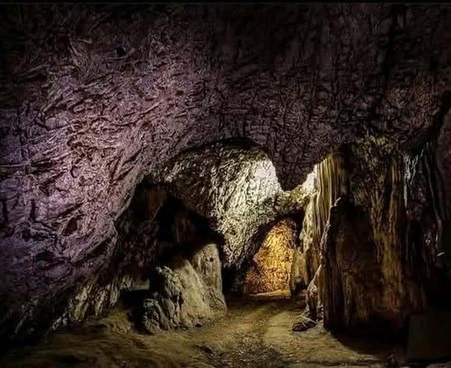 Zimbabwe: Chinhoyi Caves Tour with Lion Viewing and Lunch | GetYourGuide