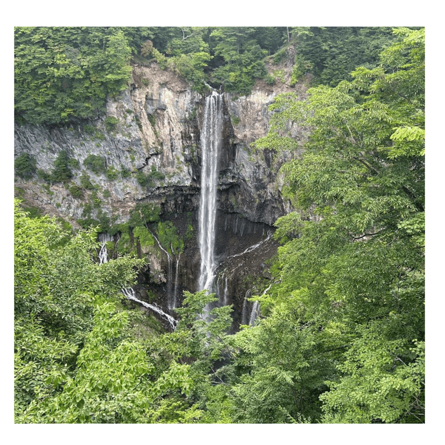 Private Nikko Day Tour from Tokyo: Nature & Heritage | GetYourGuide