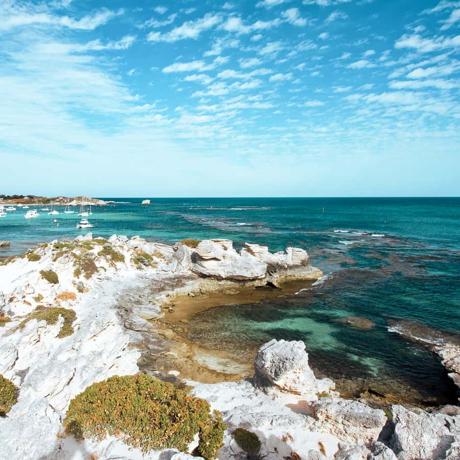 From Fremantle: Rottnest Island Ferry & Admission Ticket | GetYourGuide