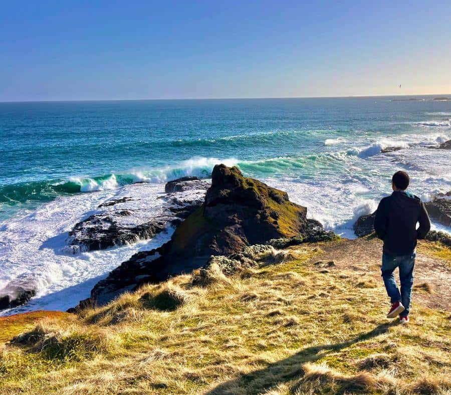 Phillip Island Penguin Parade Afternoon Tour from Melbourne | GetYourGuide