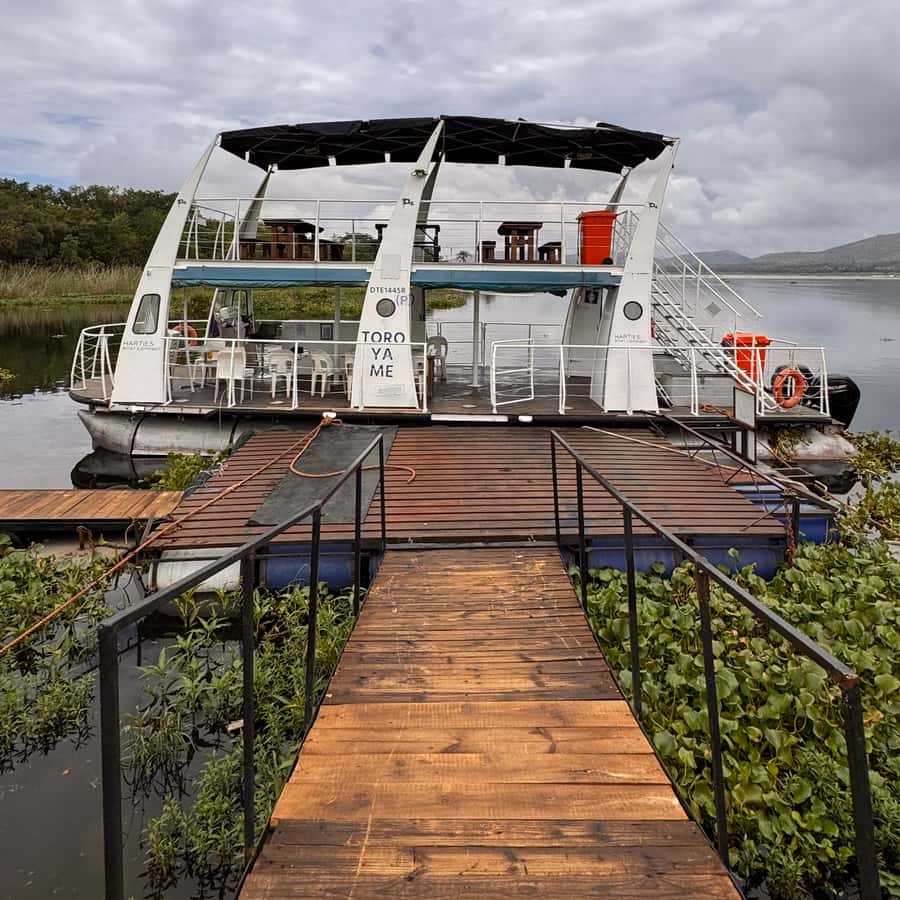 Johannesburg: Cableway and Lunch Boat Cruise Half Day Tour | GetYourGuide
