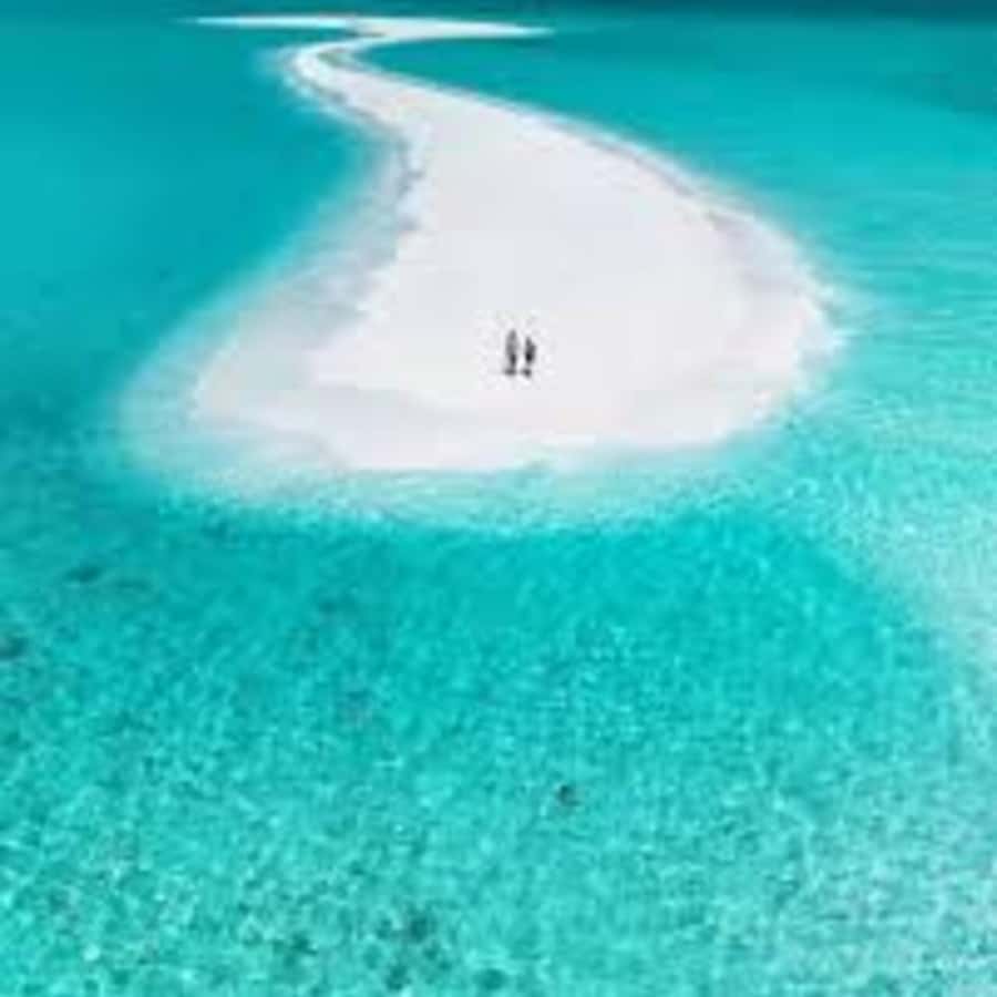 ZANZIBAR:Amazing tour Nakupenda SandBank with fruits lunch | GetYourGuide