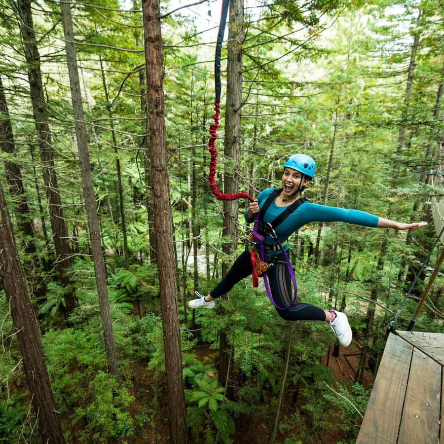 Rotorua: Redwoods Altitude High Ropes Adventure | GetYourGuide