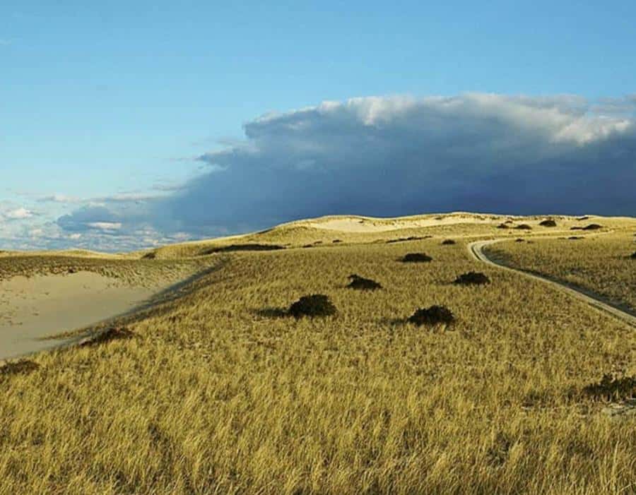 Provincetown: Cape Cod National Seashore Park Dune Tour | GetYourGuide