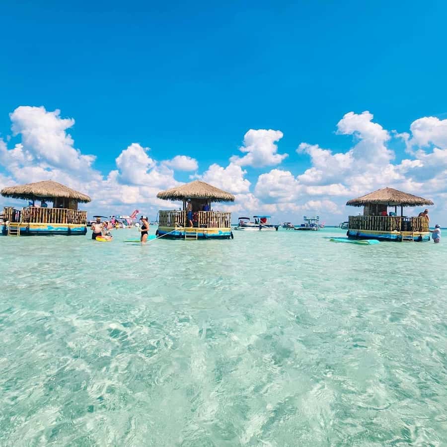 Destin: Tailfins Tiki Crab Island Sandbar Float :Swim :Chill | GetYourGuide