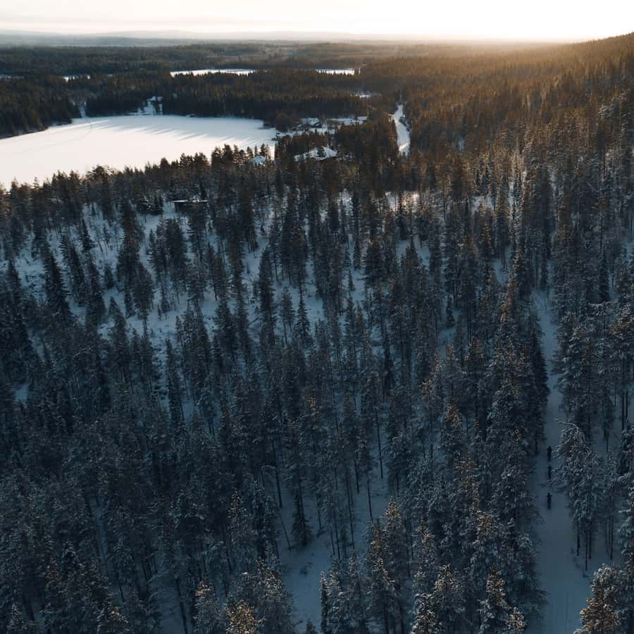 Levi: avventura in e-fatbike alla ricerca dell'aurora boreale ...