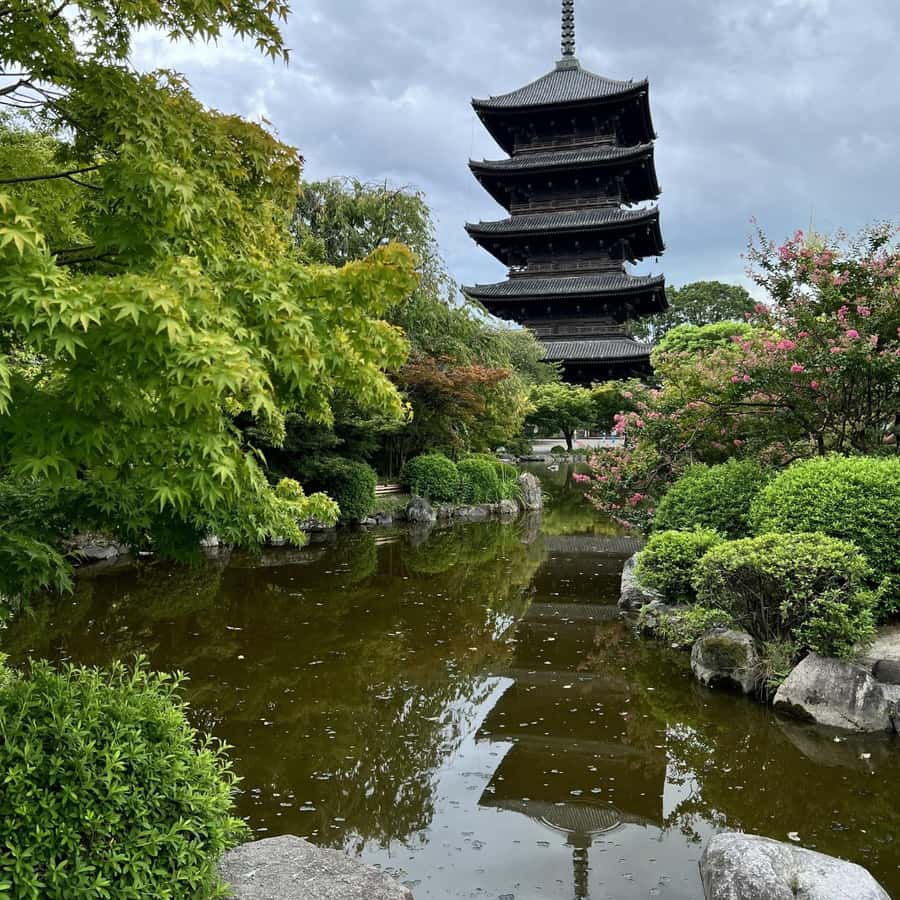 Kyoto: Tour guiado do Templo Toji com Pagode de 5 andares | GetYourGuide
