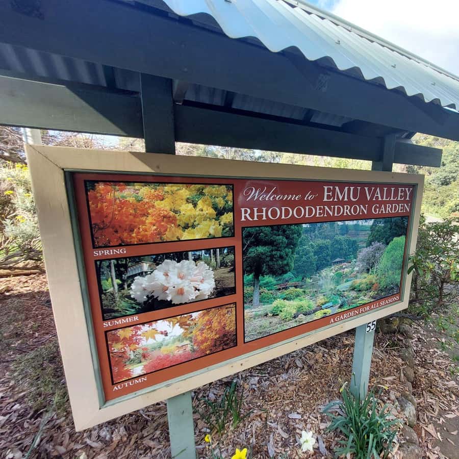 Burnie Attractions Bus | GetYourGuide