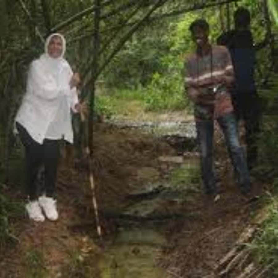 Zanzibar: Zipline Adventure in masingini forest tour | GetYourGuide