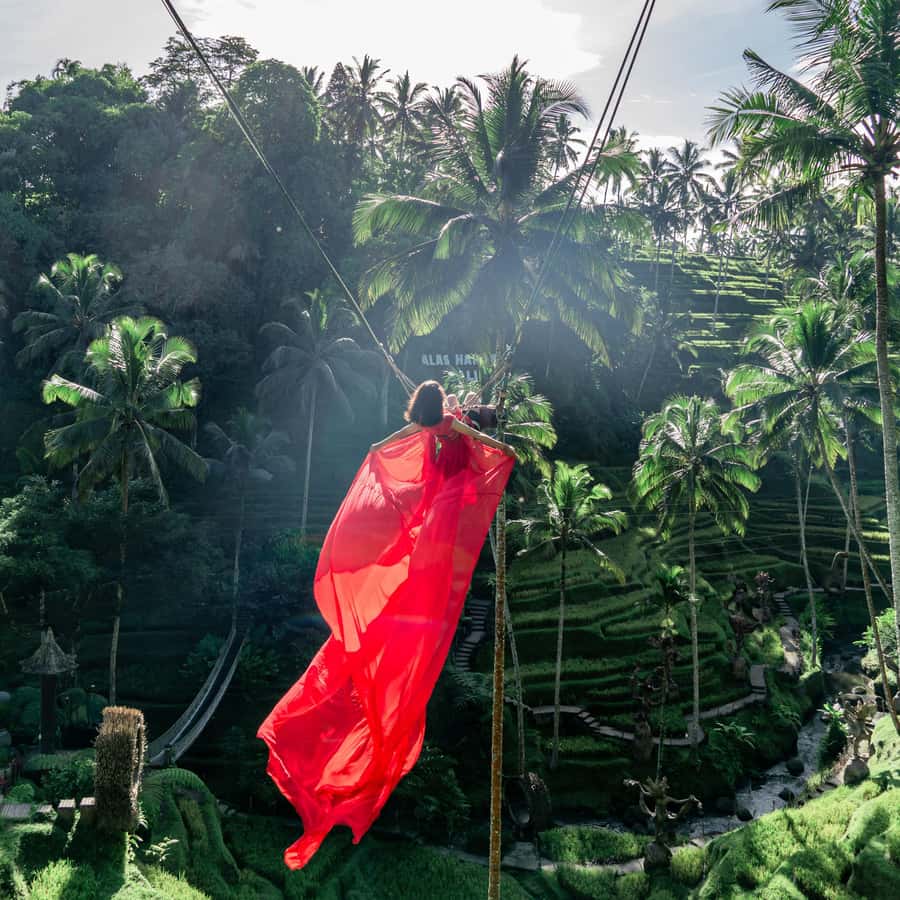 Ubud: Alas Harum Day-Pass, Swing, Sky Bike & Flying Fox | GetYourGuide