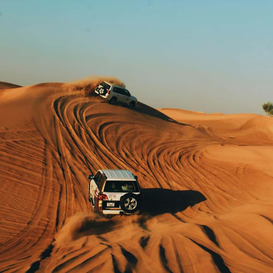 Doha : Safari dans le désert, baignade, promenade à dos de chameau ...