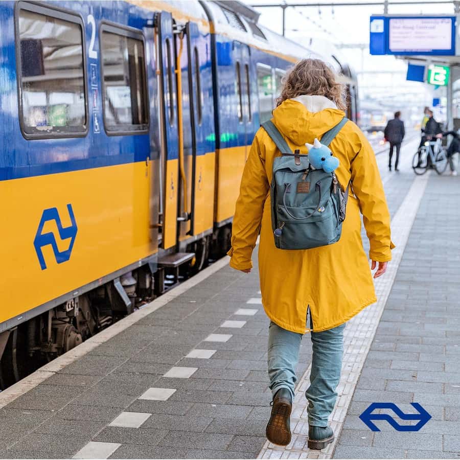 Amsterdam: Train transfer From/To Zaandijk Zaanse Schans | GetYourGuide