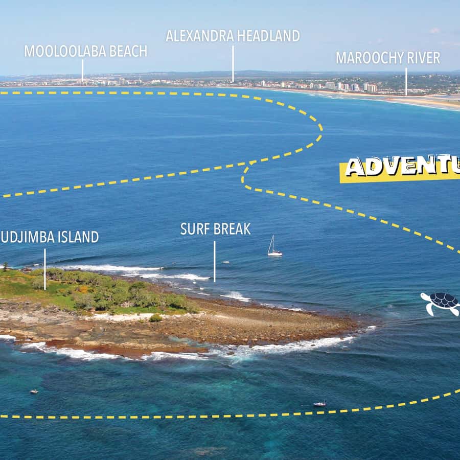 Mooloolaba: Adventure Rafting Turtle Tour | GetYourGuide