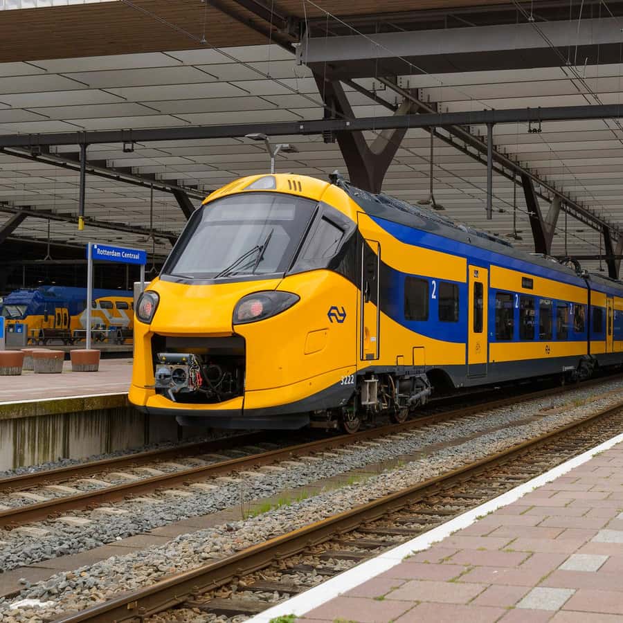 Amsterdam: Train transfer From/To Zaandijk Zaanse Schans | GetYourGuide