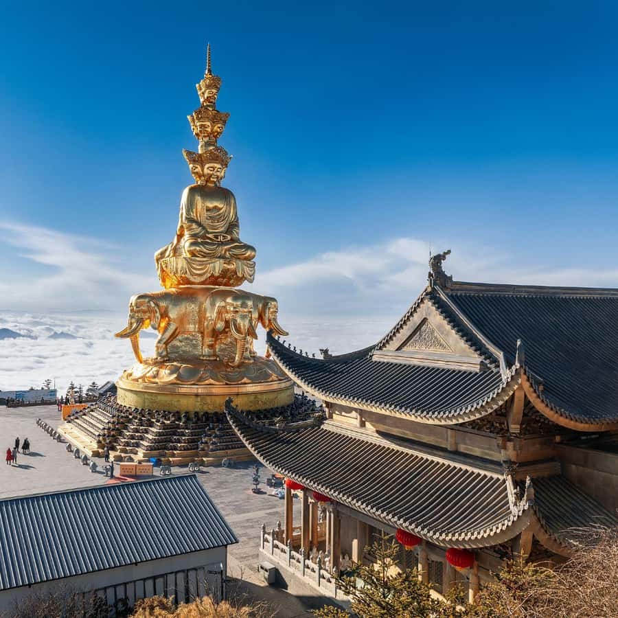 Chengdu: Base dei panda/Buddha di Leshan/Emei/Tour della città ...