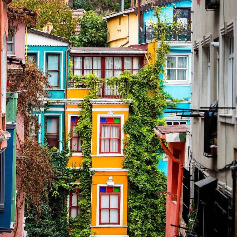 Istanbul: Colorful Fener & Balat Walking Tour w/Expert Guide | GetYourGuide
