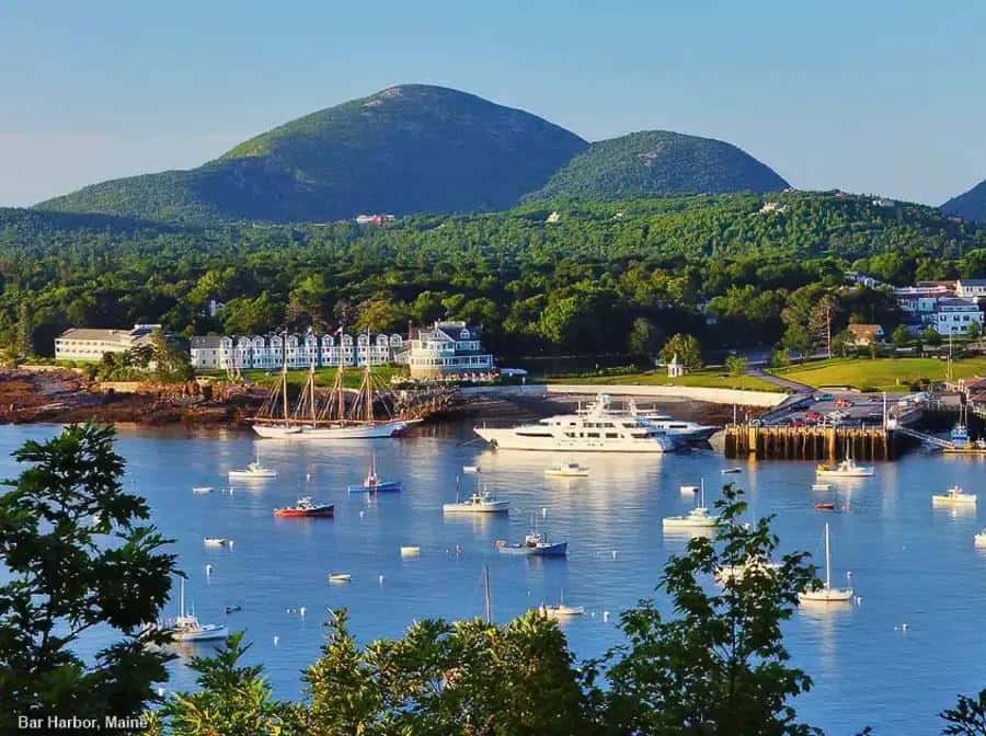 Best of Bar Harbor Food Walking Tour | GetYourGuide
