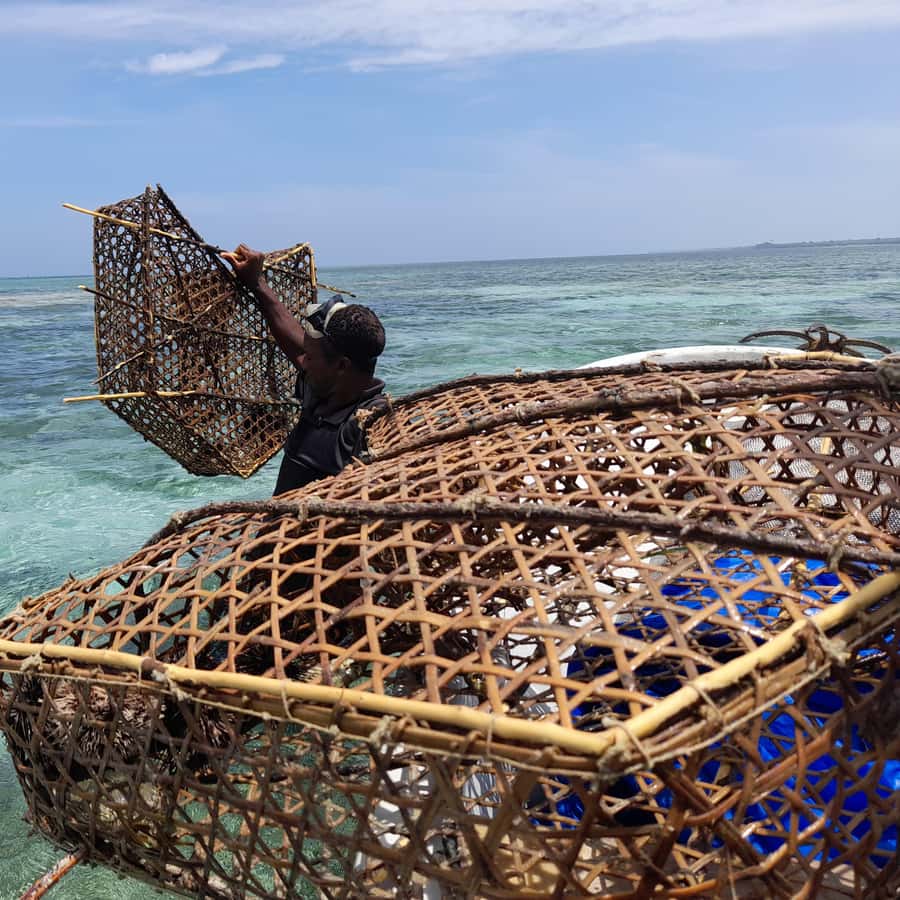 Zanzibar: Tumbatu Island Authentic Cultural Tour | GetYourGuide