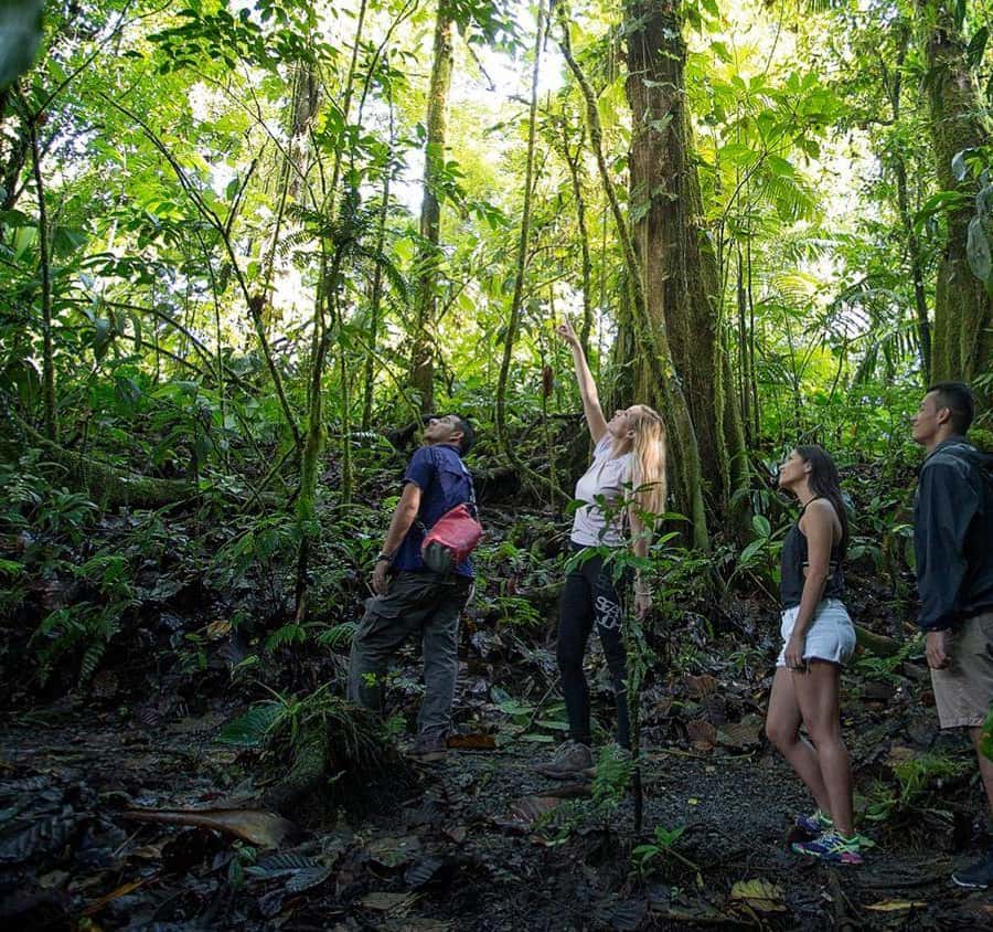 Volcan Arenal:Parc national du volcan Arenal Meilleures choses à faire ...