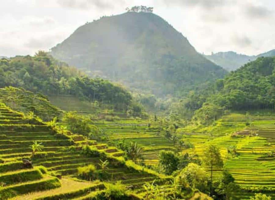 YOGYAKARTA ; NÉPAL VAN JAVA ET DÉCOUVERTE DES RIZIÈRES DE SELOGRIYO ...