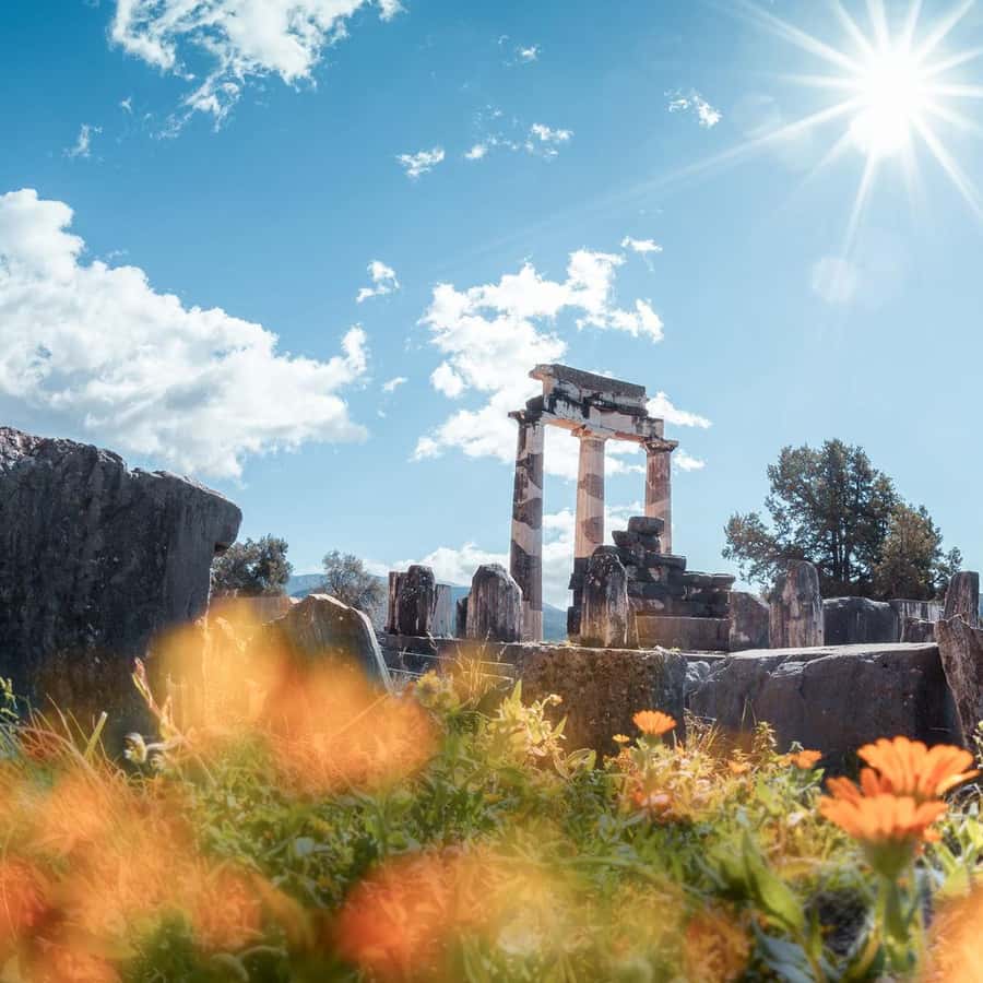 Feel Ancient thermal Spa Visit Delphi, Leonidas ℨoo Spaʀtan | GetYourGuide